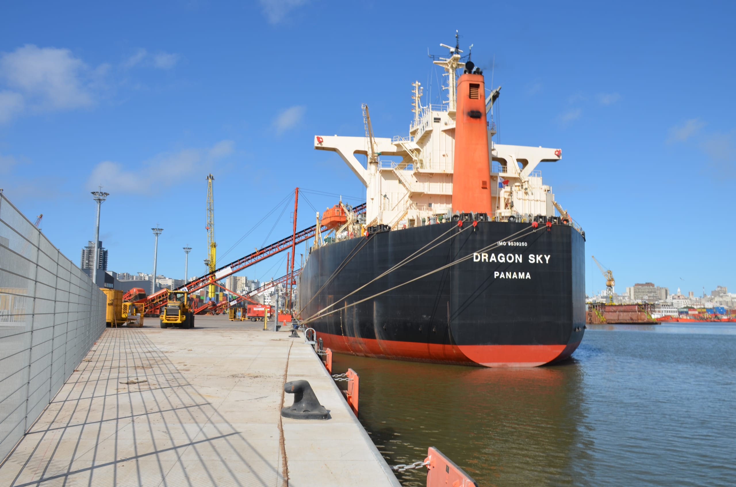 Buque chipero “Dragon Sky” es el primero en cargar chips de Eucaliptus ...