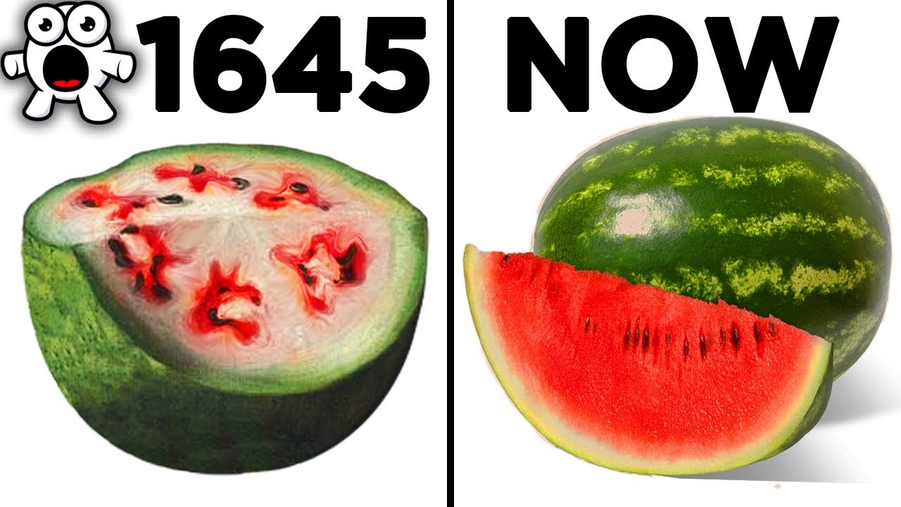 Foods That Originally Looked Totally Different | Be Amazed