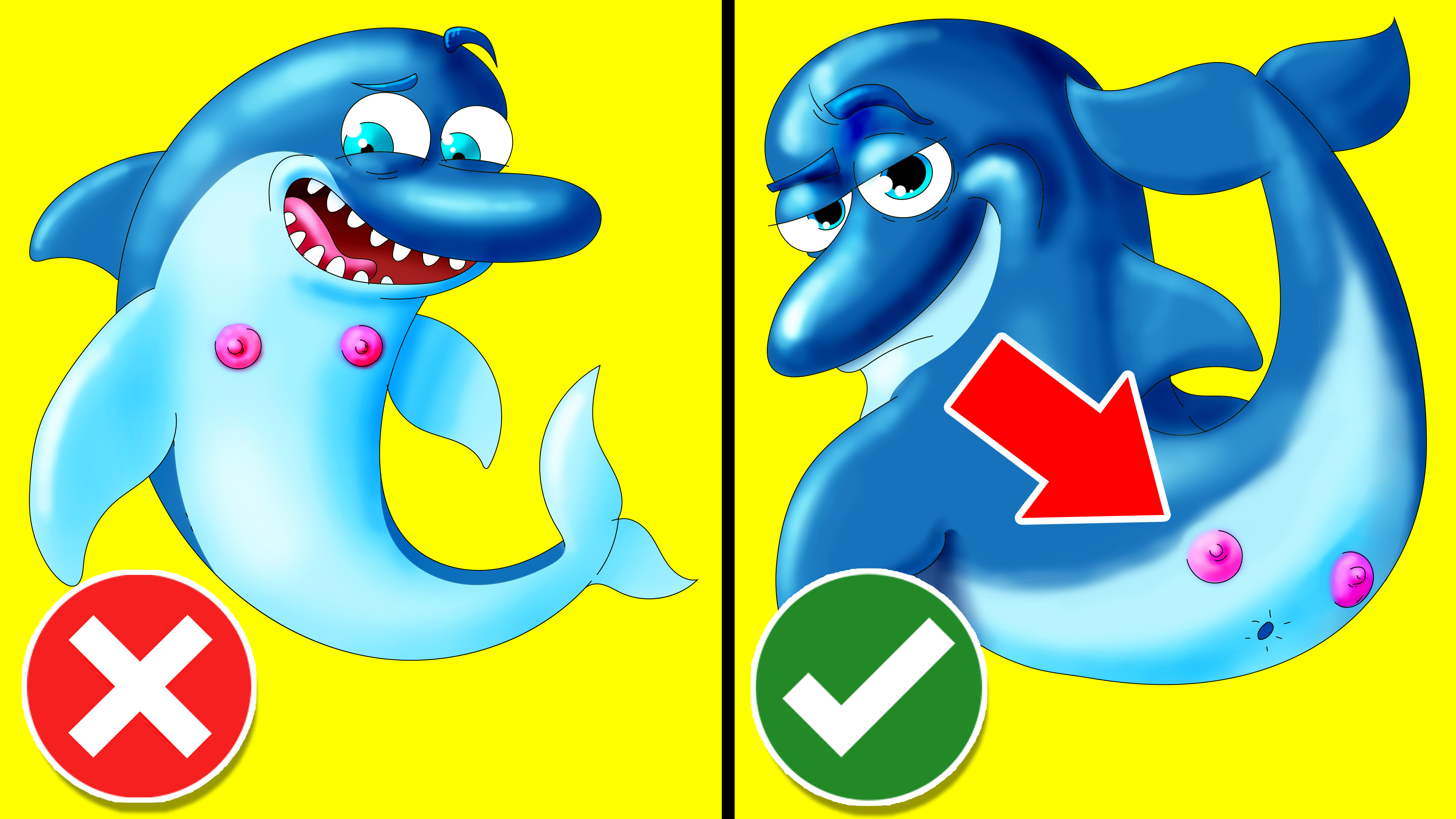 Random Fun Facts That Will Amaze You - Part 3 | Be Amazed