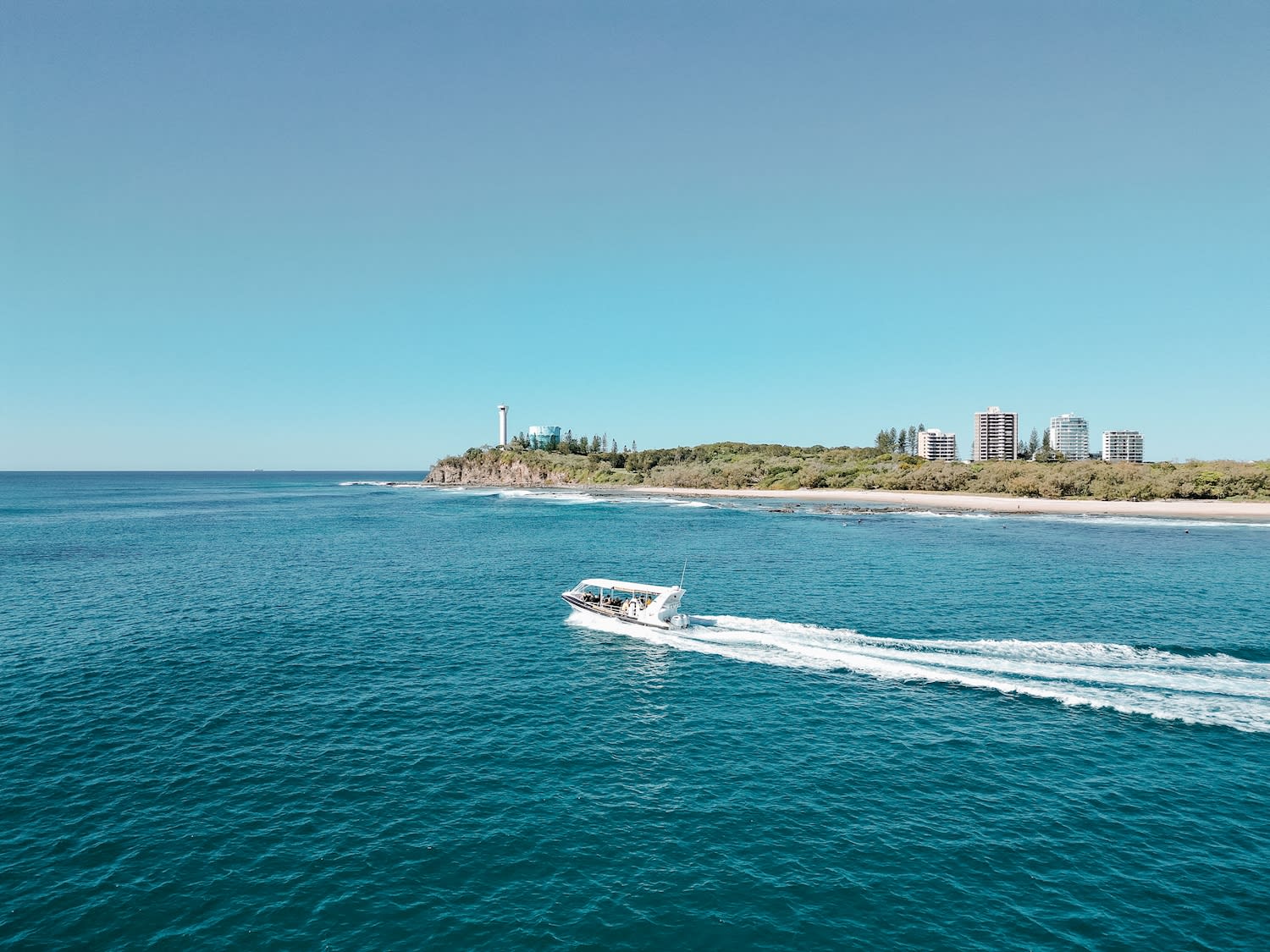 Mooloolaba Turtle Tour - Book Today