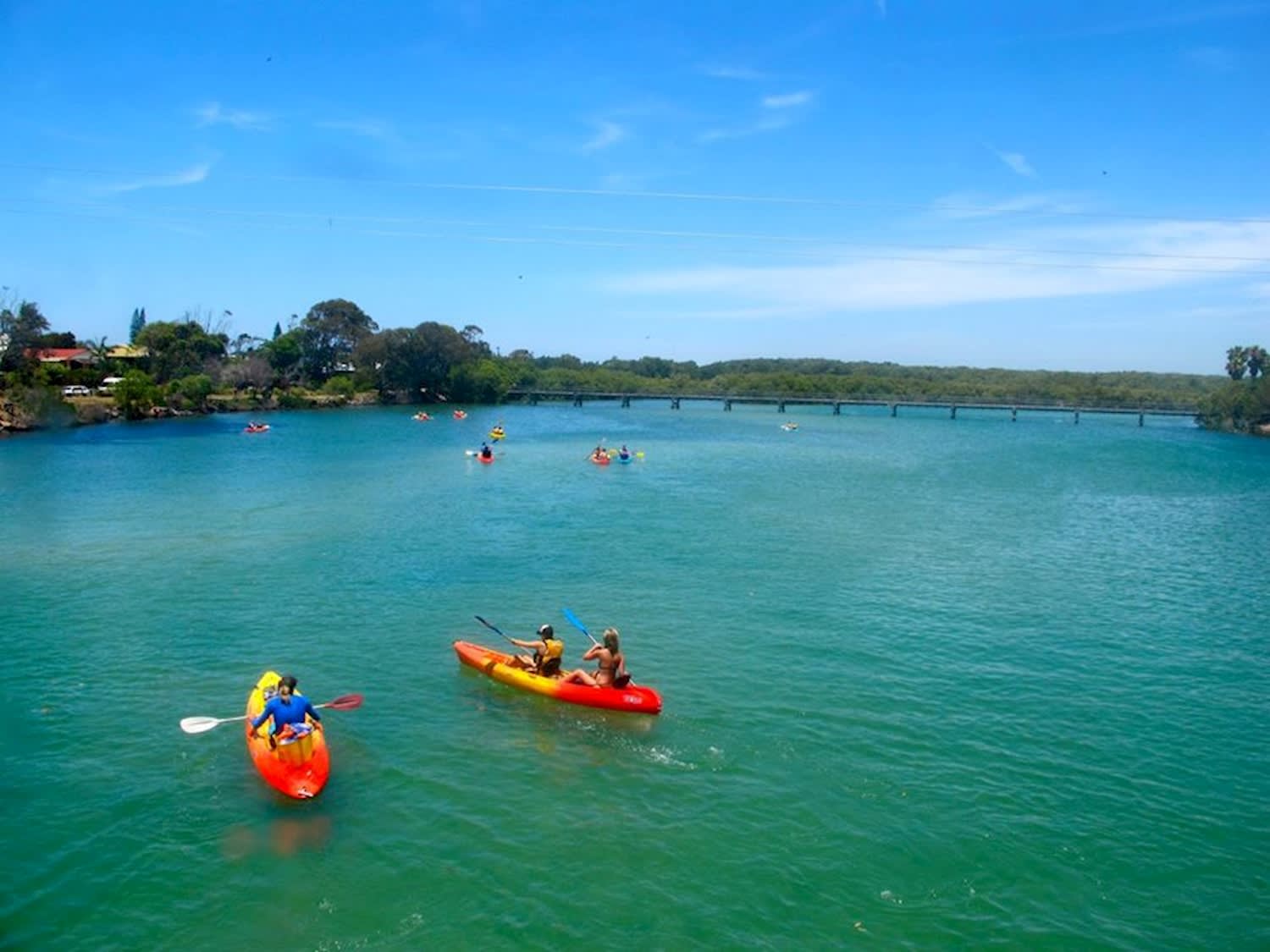 Brunswick River Kayak Tour - Book Today