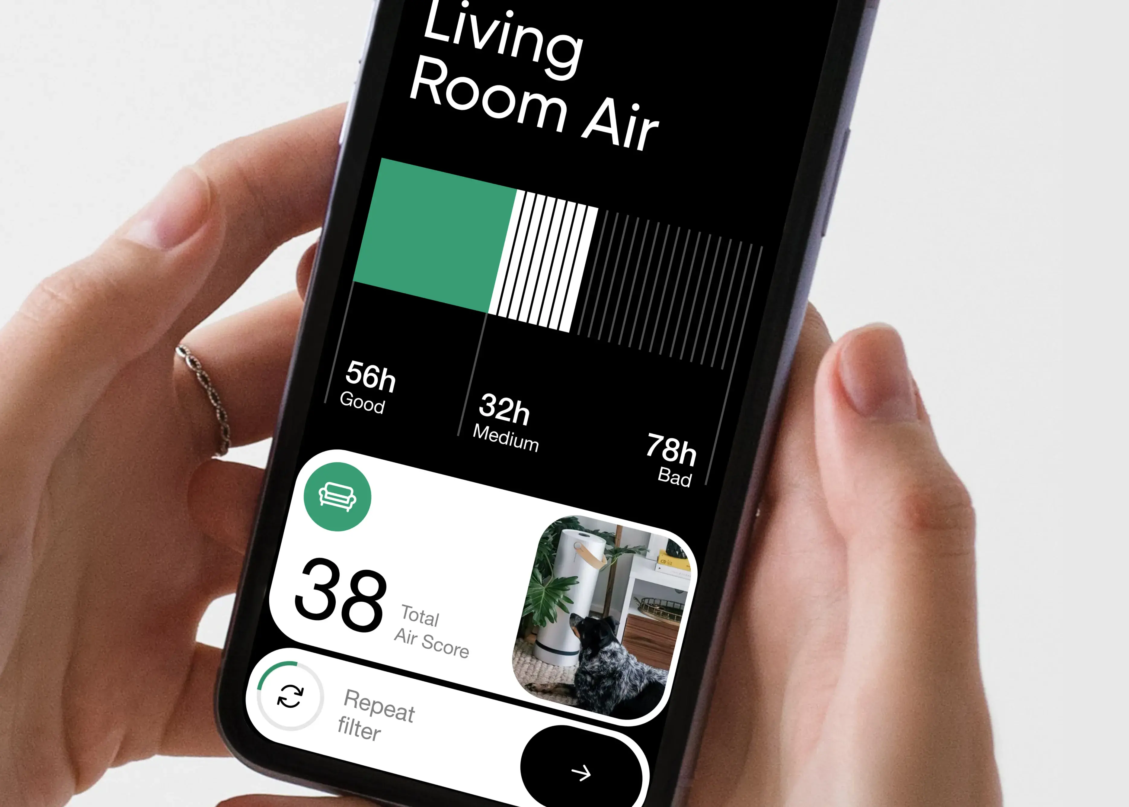 Molecule App: Project - Branding & UX UI Design
