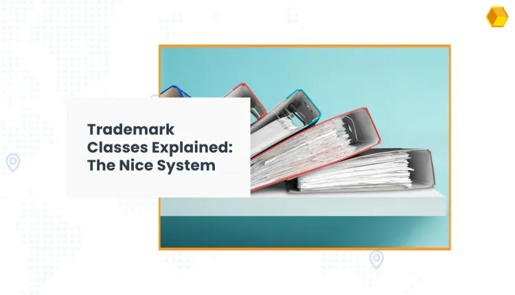 What is the Nice classification system?