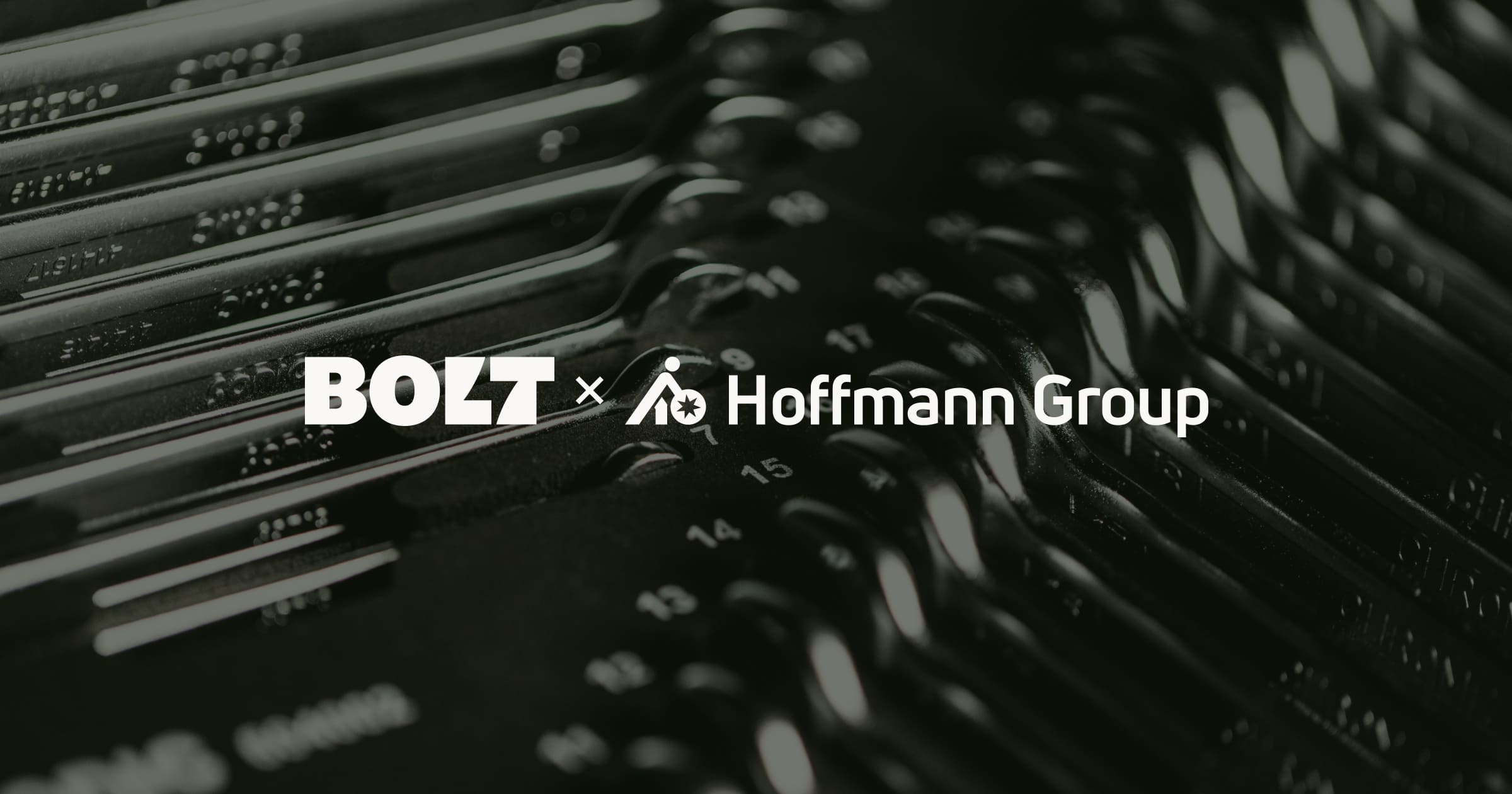 Case Study: Hoffman Group USA
