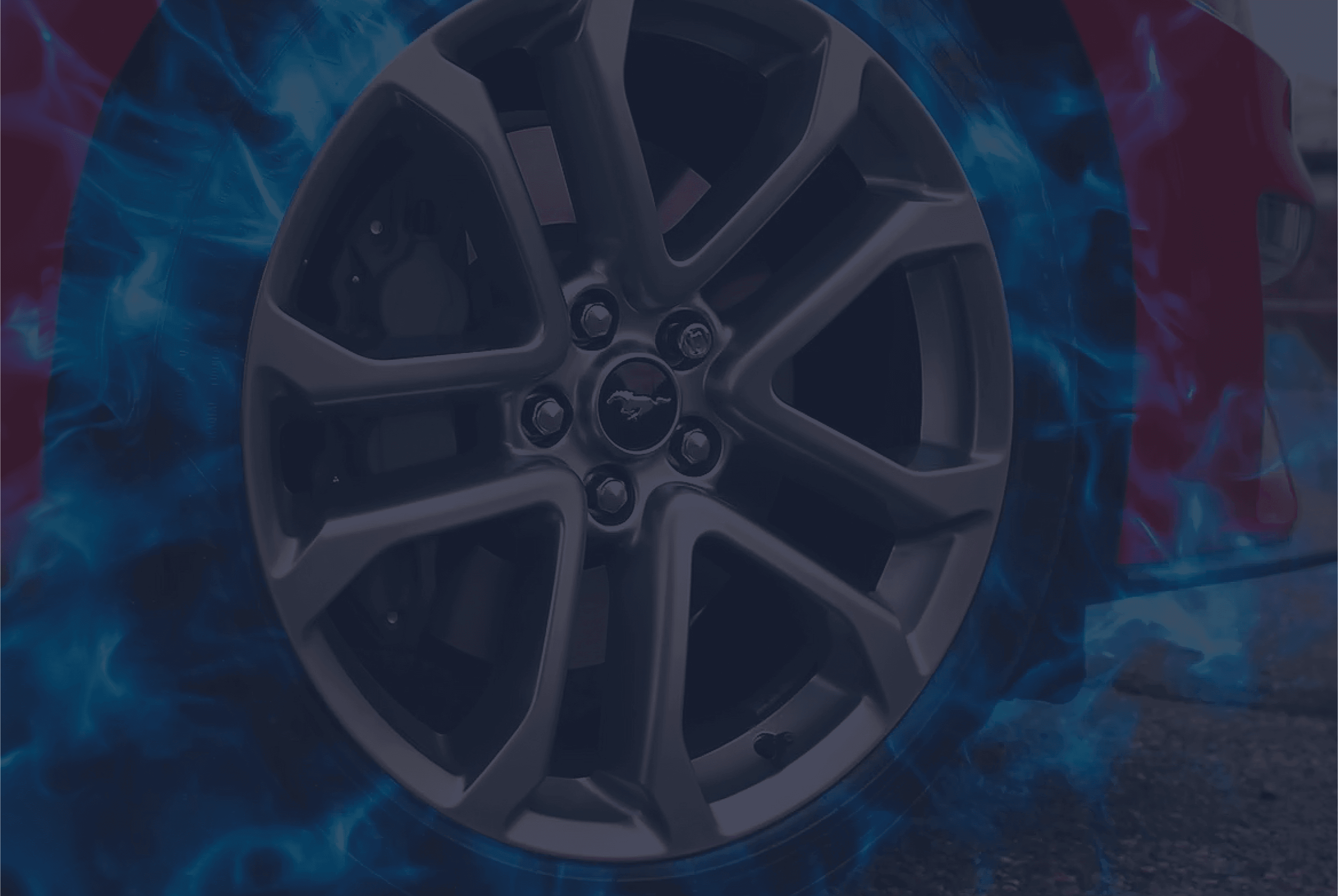 Case Study: Wheelership