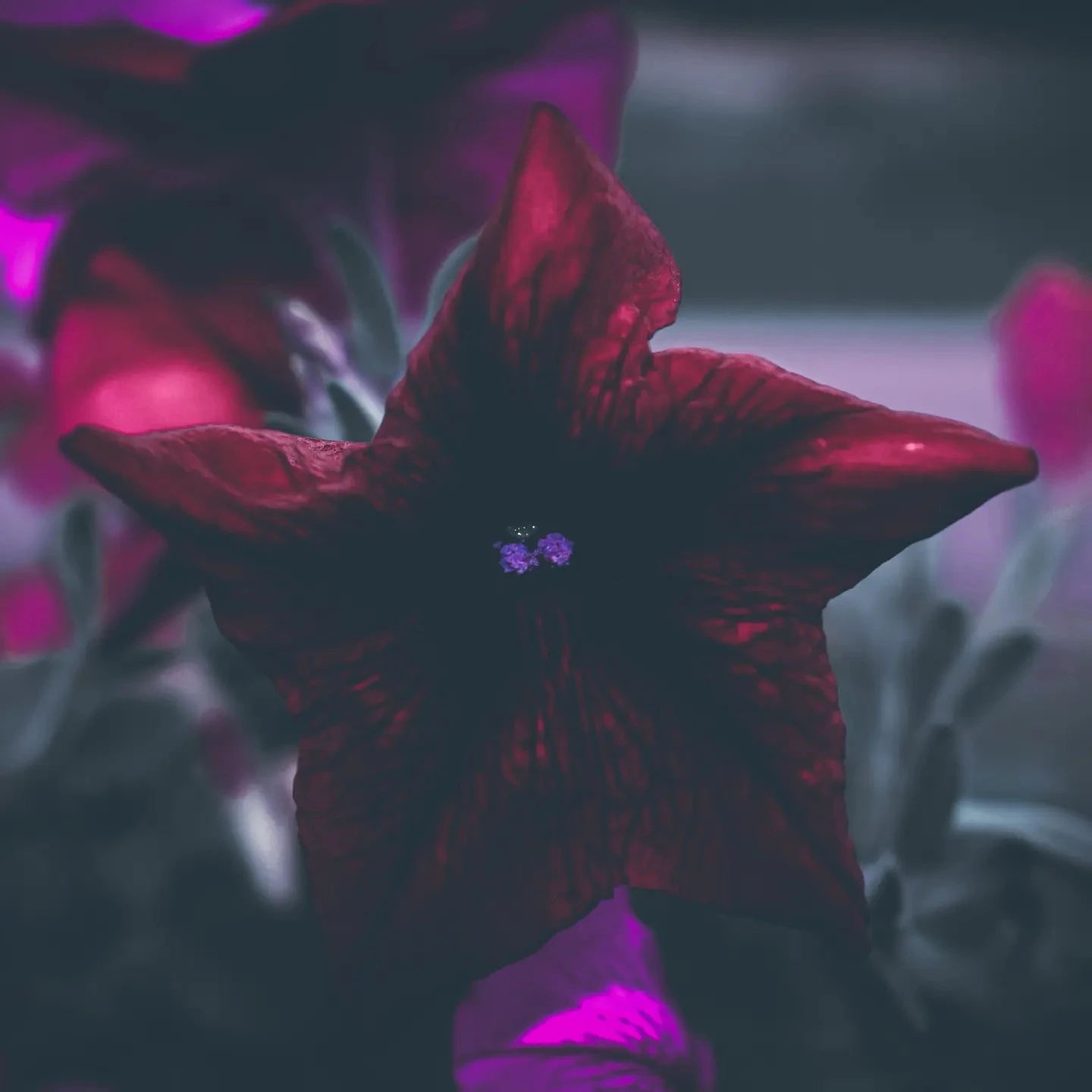 Big Photo Hunt - Growing Our Photography Together