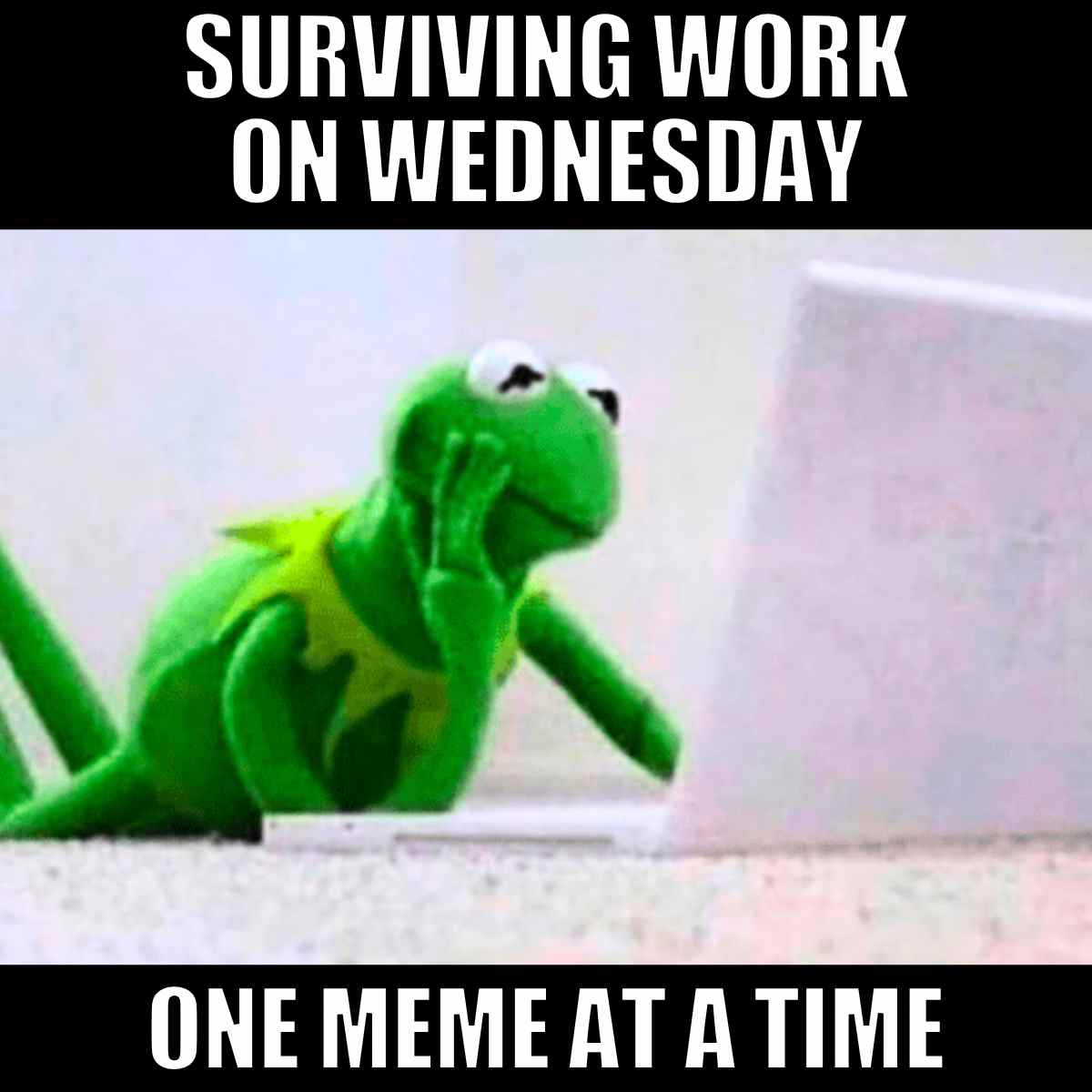 Midweek Laughs: 15 Best Wednesday Work Memes To Brighten Your Day