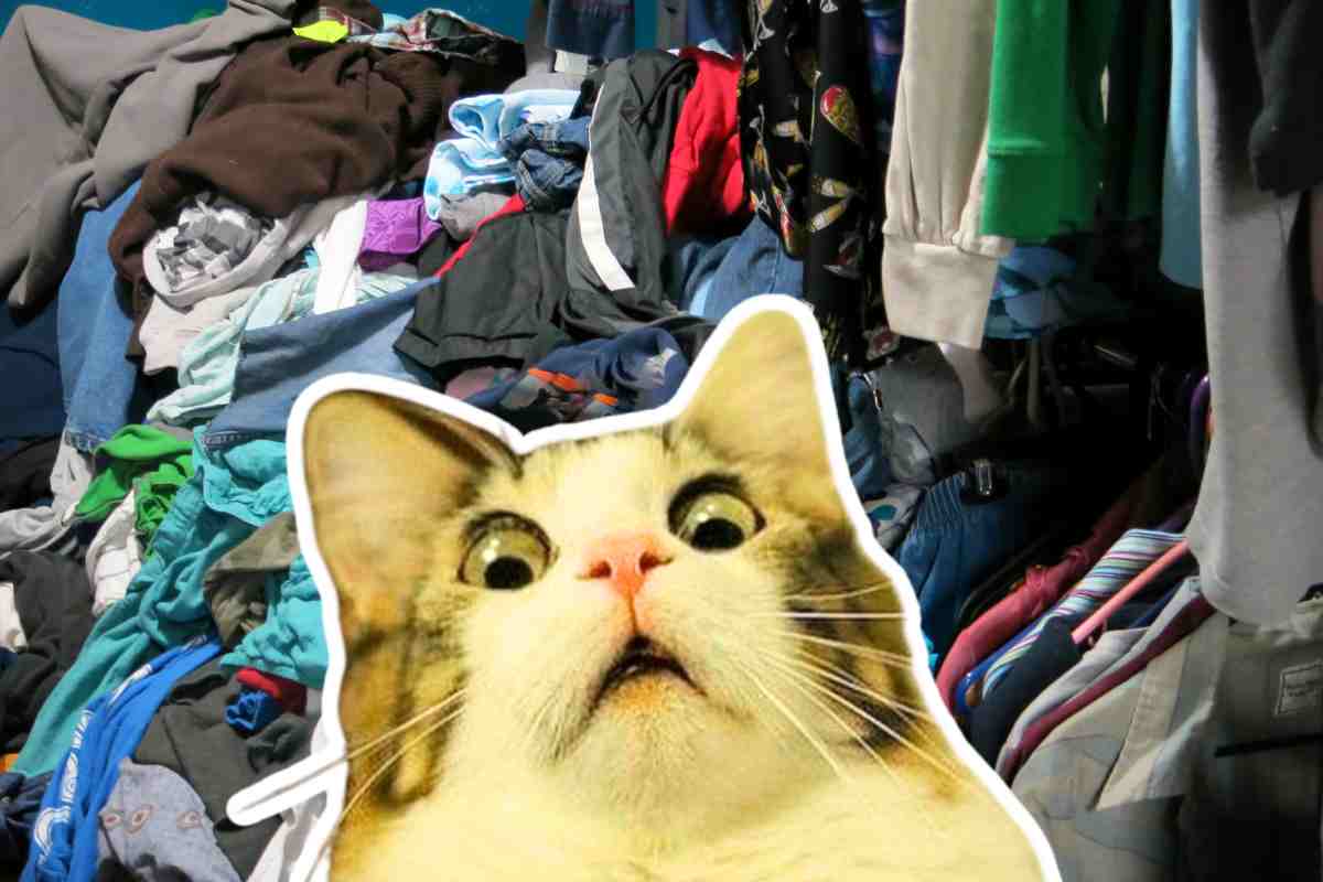 40 Funny Laundry Memes: From Sorting To Suds