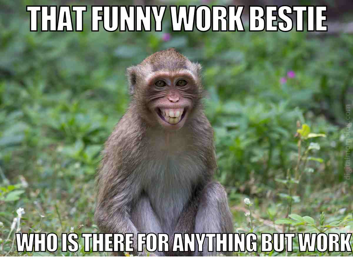 55 Funniest Coworker Memes To Share With Your Office Bestie