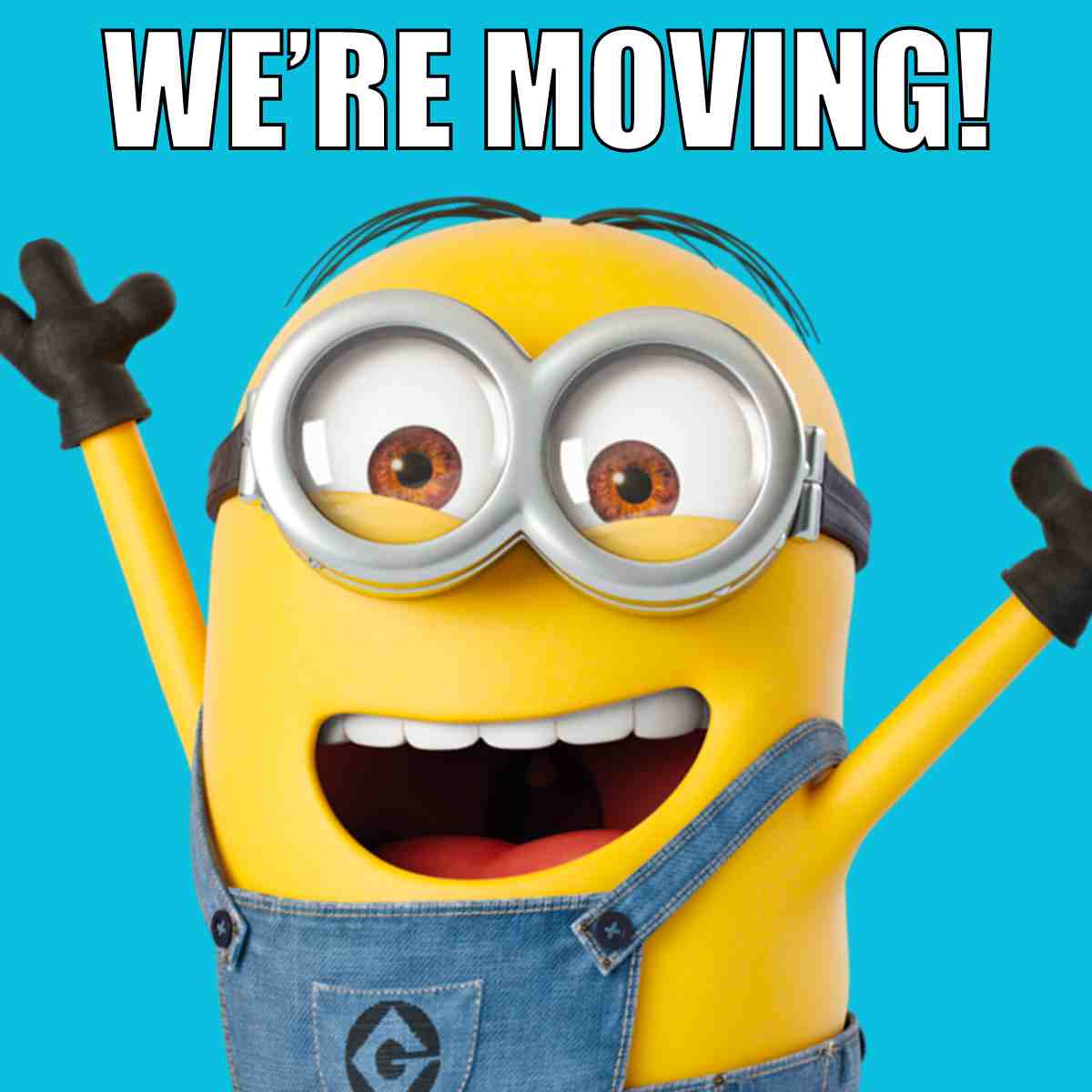 15 Hilarious Moving Memes That Capture The Chaos Of Relocating