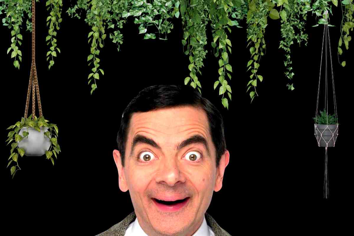 40 Hilarious Plant Memes That Every Gardener Can Relate To