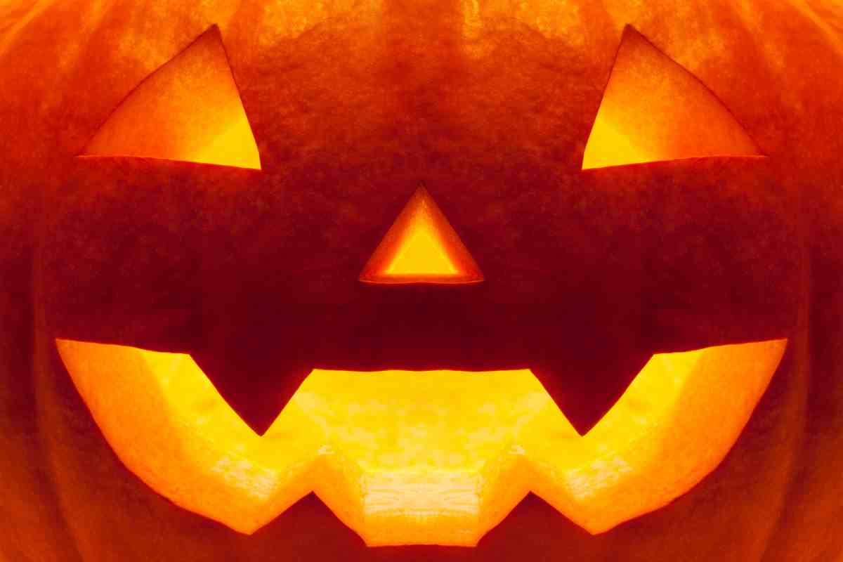 25 Best Pumpkin Memes And Jokes For Fall Lovers