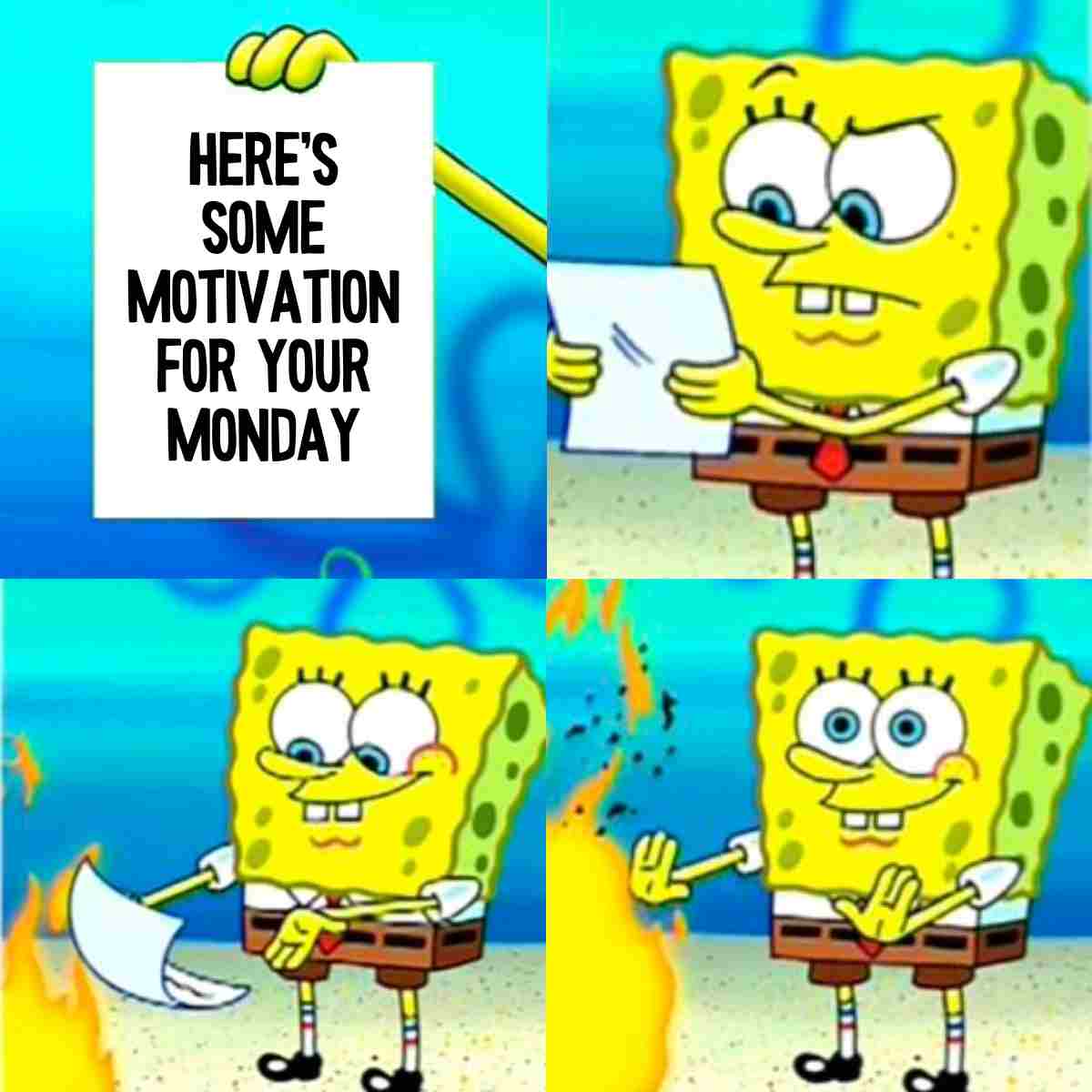 12 Positive Monday Memes To Elevate Your Energy