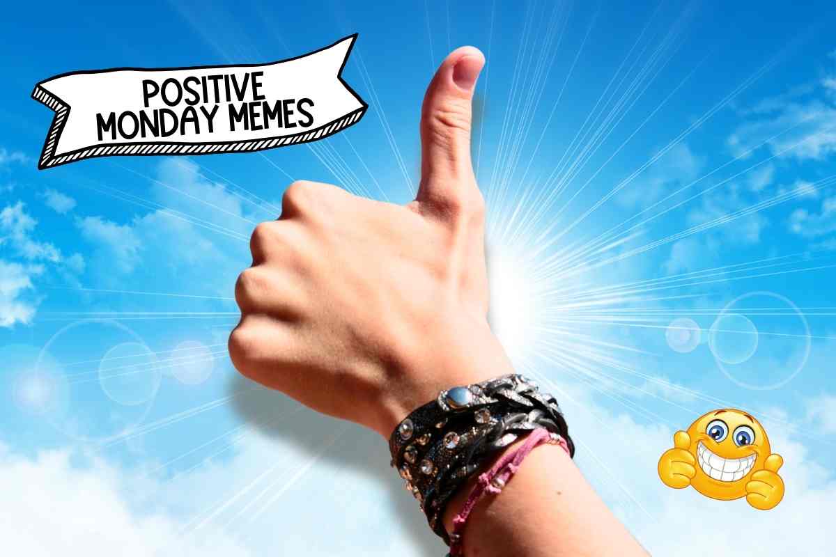12 Positive Monday Memes To Elevate Your Energy