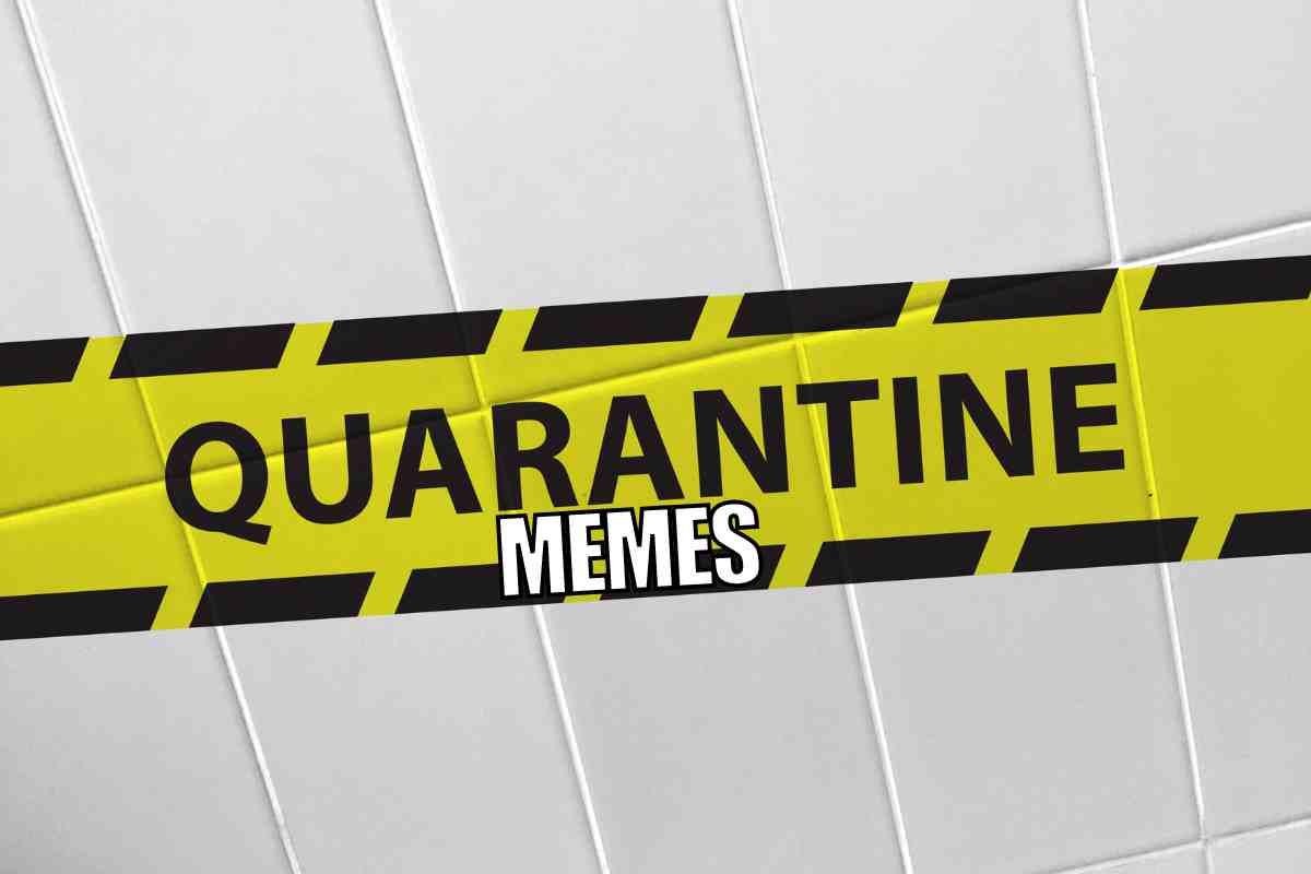 Funny Quarantine Memes - 20+ Isolation & Social Distancing