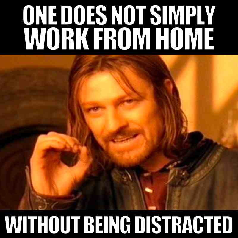 70 Funny Work From Home Memes Remote Workers Will Relate To