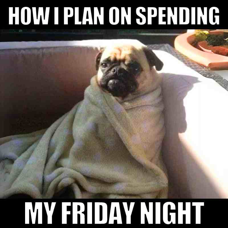 75 Funny Friday Memes That Will Have You Saying TGIF!