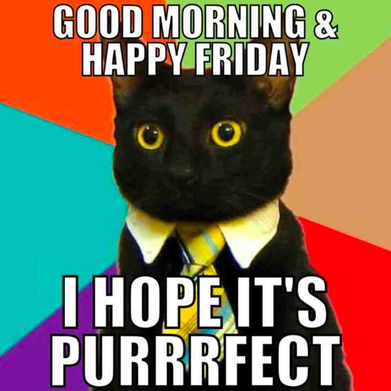 75 Funny Friday Memes That Will Have You Saying TGIF!