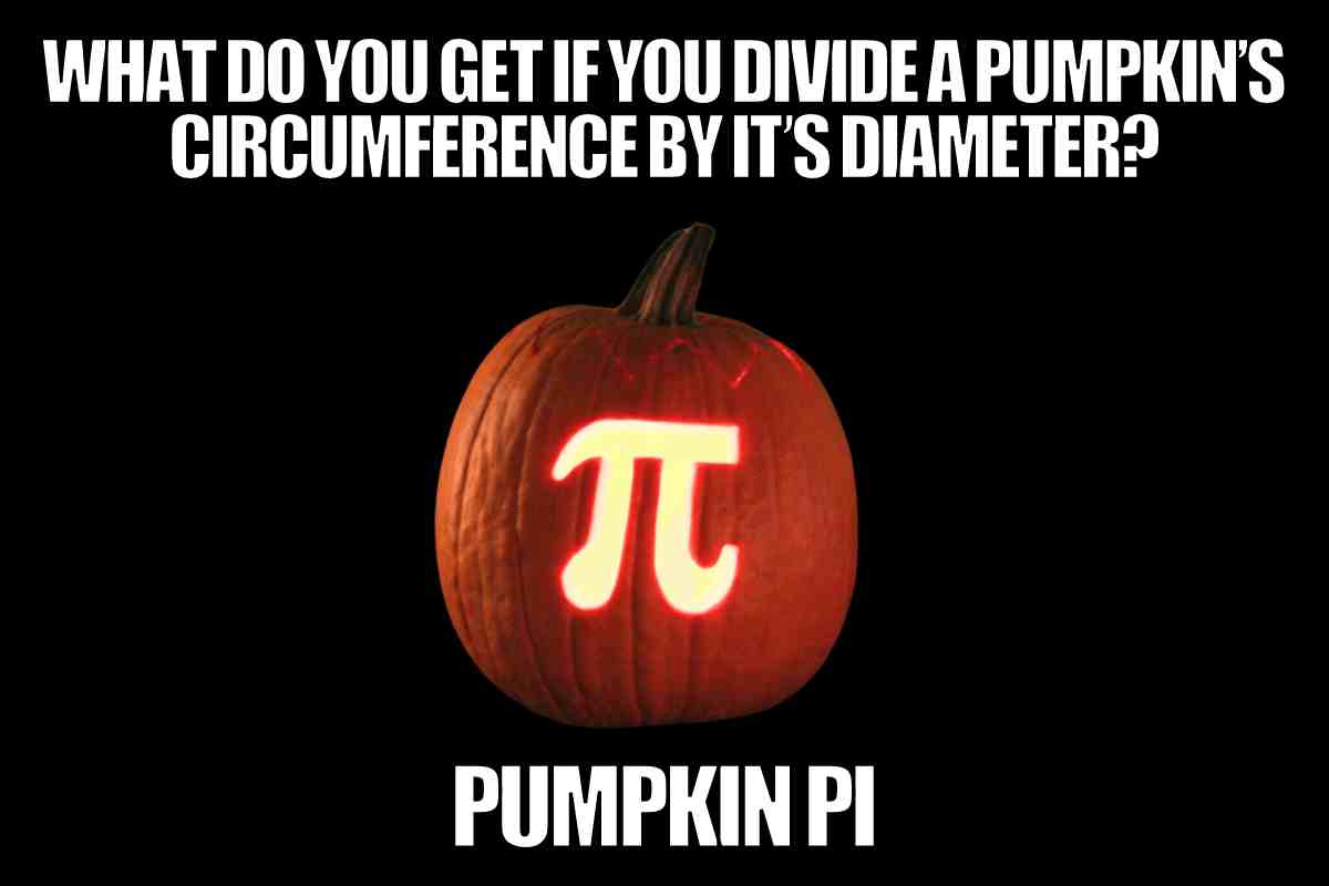 25 Best Pumpkin Memes And Jokes For Fall Lovers