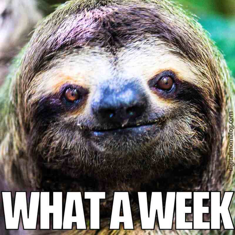 75 Funny Friday Memes That Will Have You Saying TGIF!