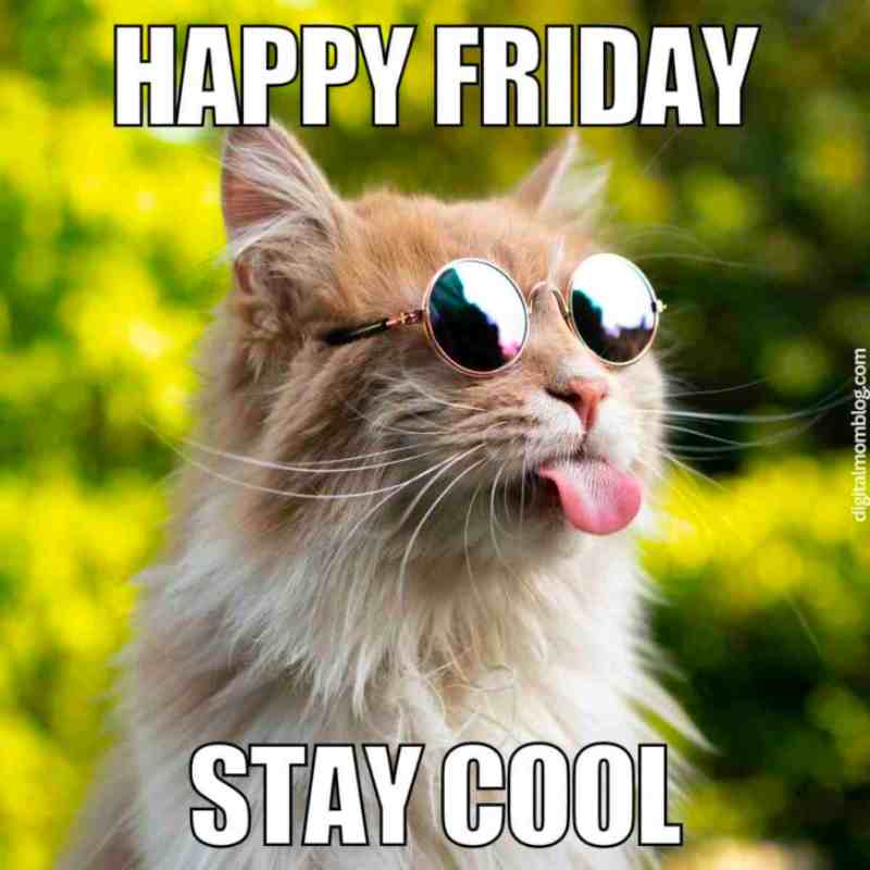 75 Funny Friday Memes That Will Have You Saying TGIF!