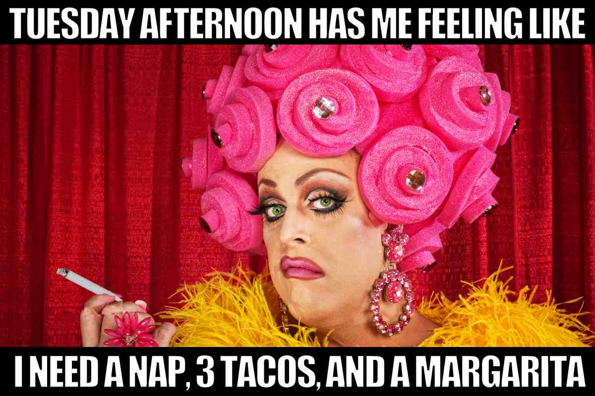 25 Best Tuesday Memes And Images To Brighten Your Week