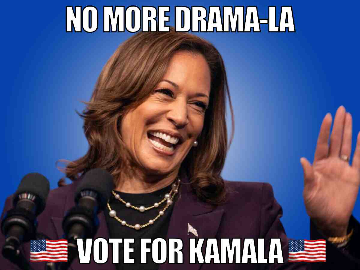 Best Election Memes: Vote And Use Your Voice 2024