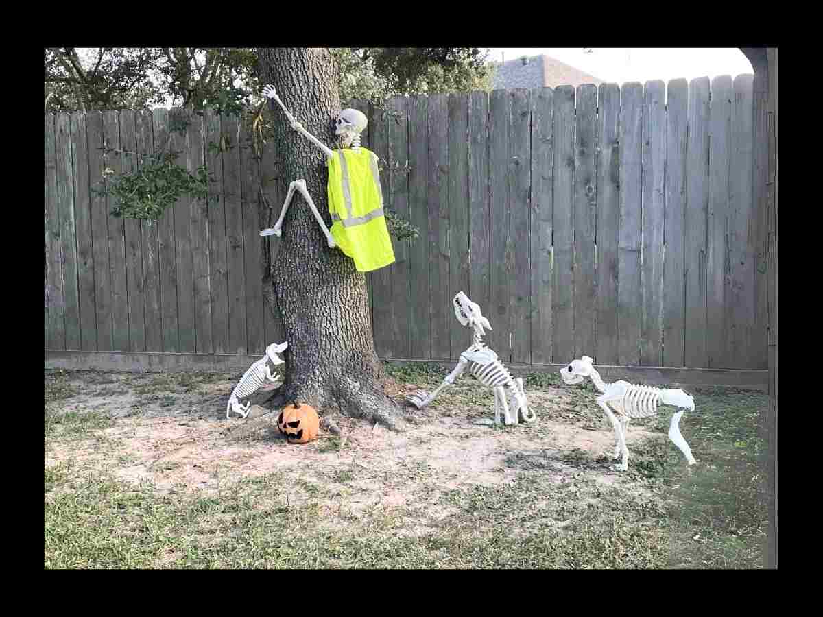 10 DIY Halloween Skeleton Yard Ideas To Make You Laugh