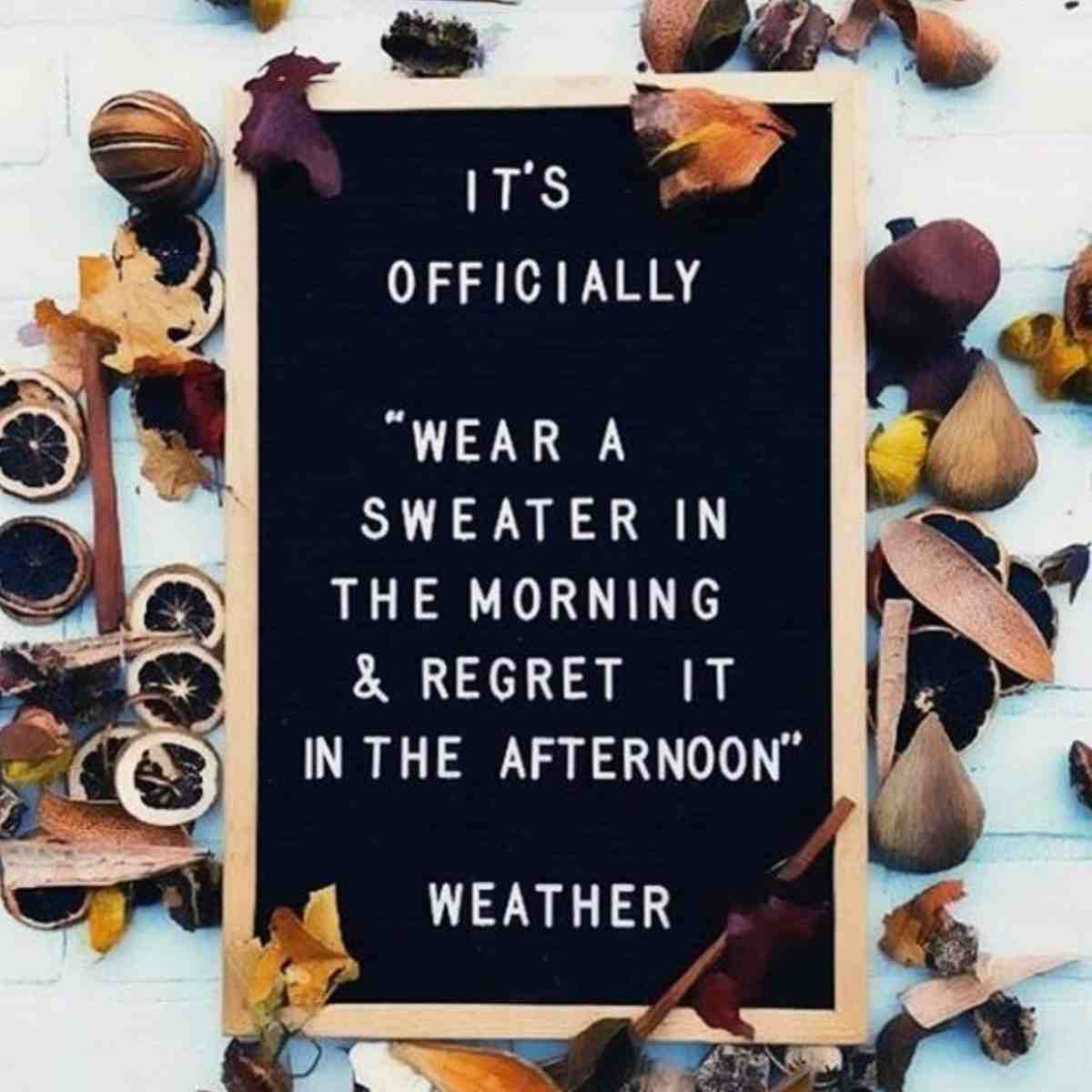 30 Hilarious Autumn Memes To Get You In The Fall Spirit