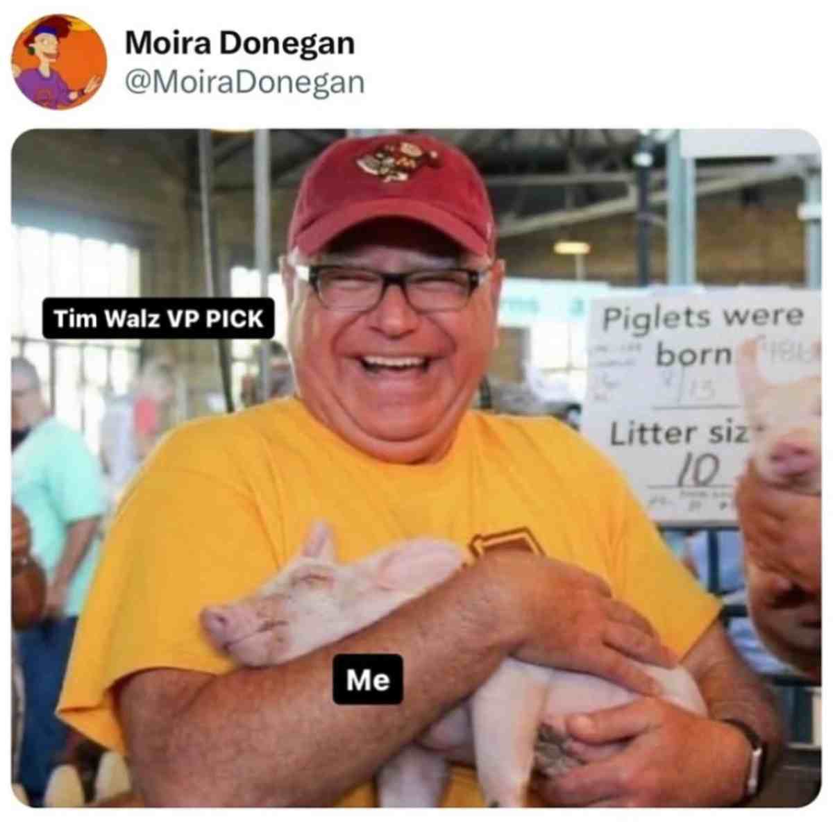 Best Tim Walz Memes About Americas Dad And VP Pick