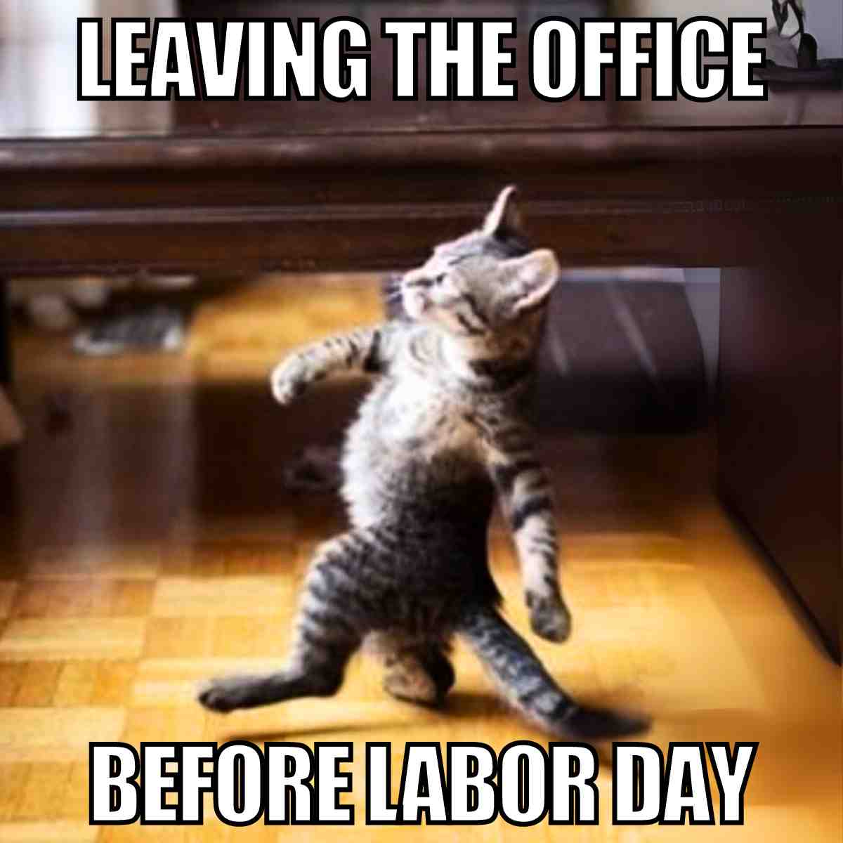 20 Funniest Labor Day Memes To Celebrate Not Working