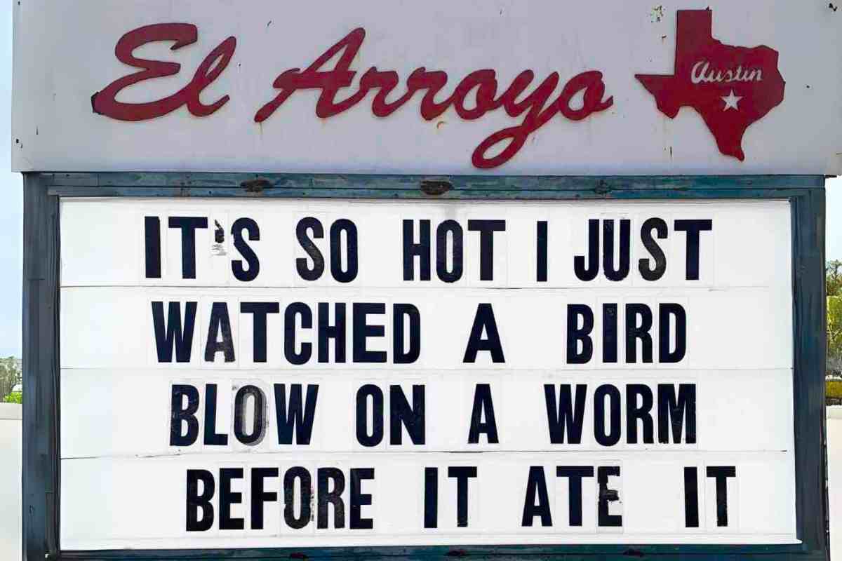 The Best Summer Memes And Images For The Hot 2024 Season