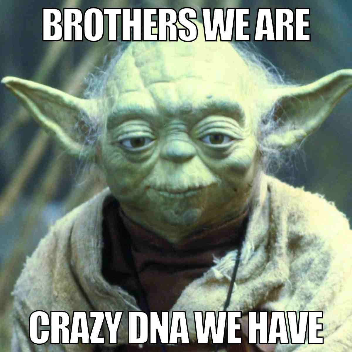 25 Best Brother Memes To Troll Your Sibling (or Laugh Together)