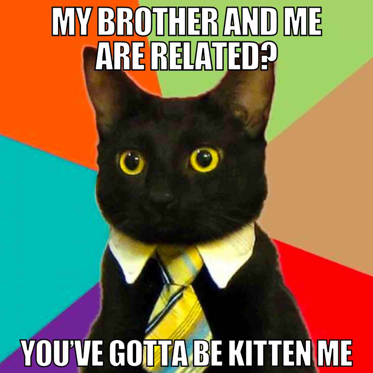 25 Best Brother Memes To Troll Your Sibling (or Laugh Together)