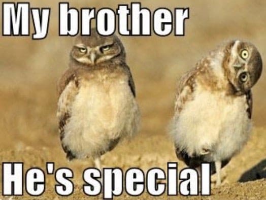 25 Best Brother Memes To Troll Your Sibling (or Laugh Together)