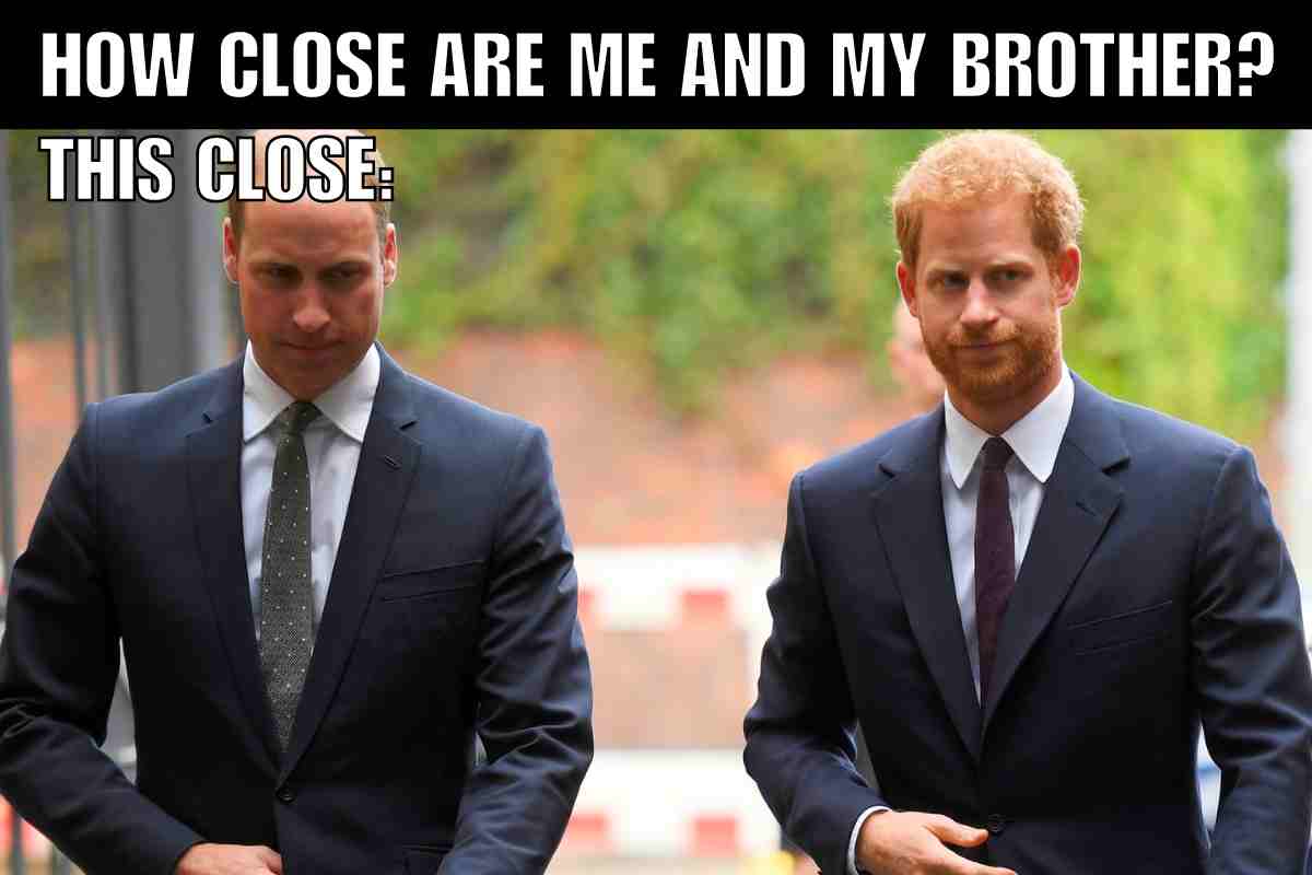 25 Best Brother Memes To Troll Your Sibling (or Laugh Together)