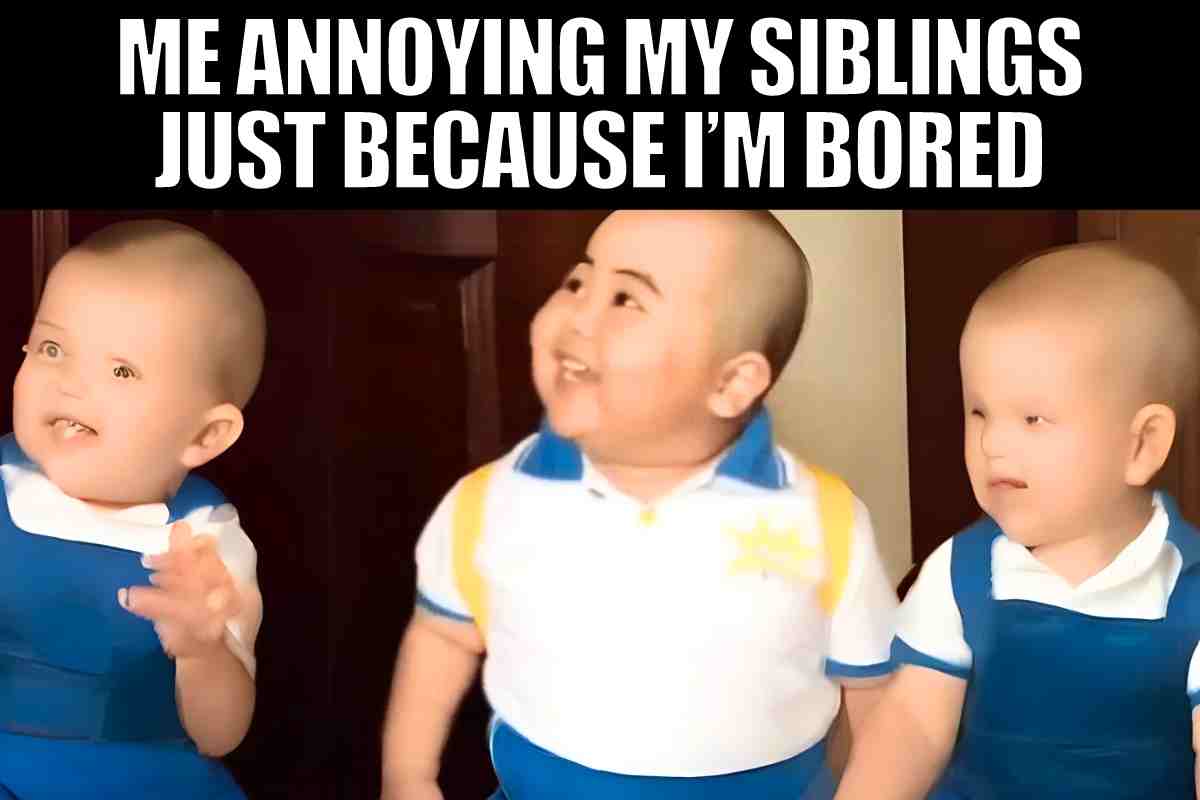 50 Hilarious Sibling Memes: From Fights To Fun!