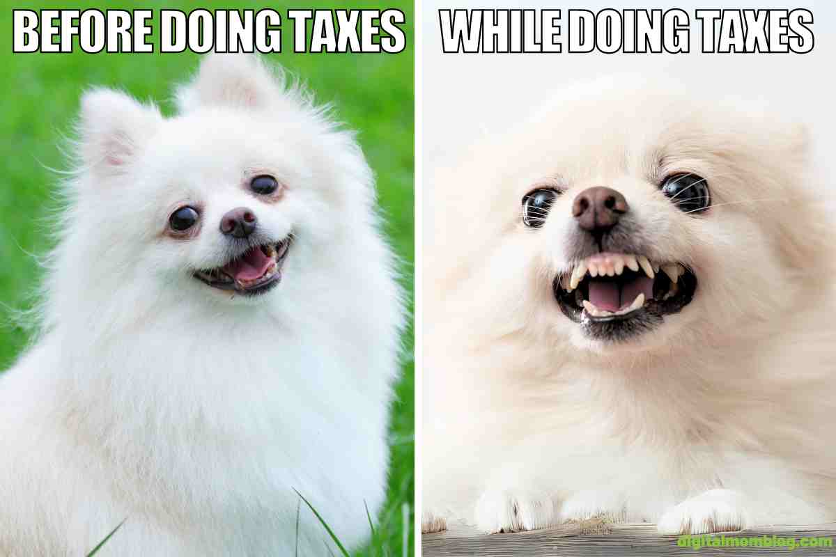 Funny Tax Memes To Help You Survive April 15th