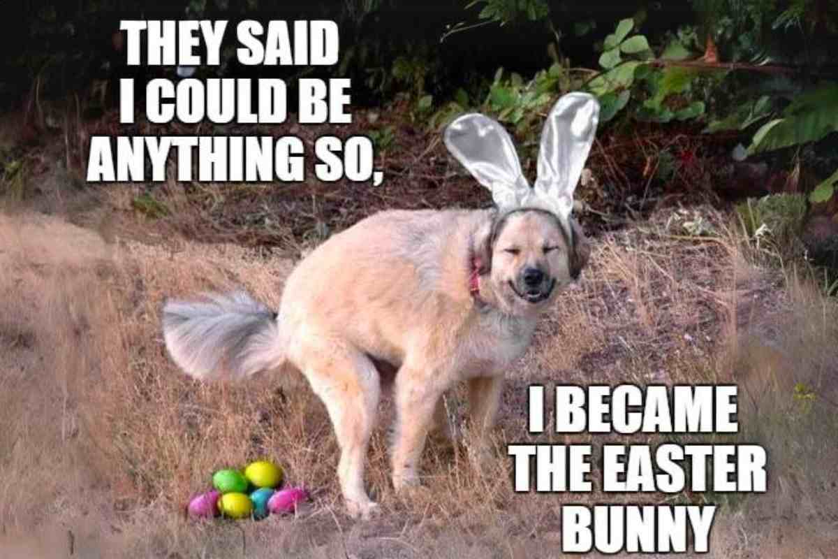 50 Funny Easter Memes For A Hoppin Good Time