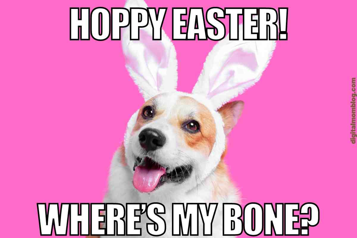 50 Funny Easter Memes For A Hoppin Good Time