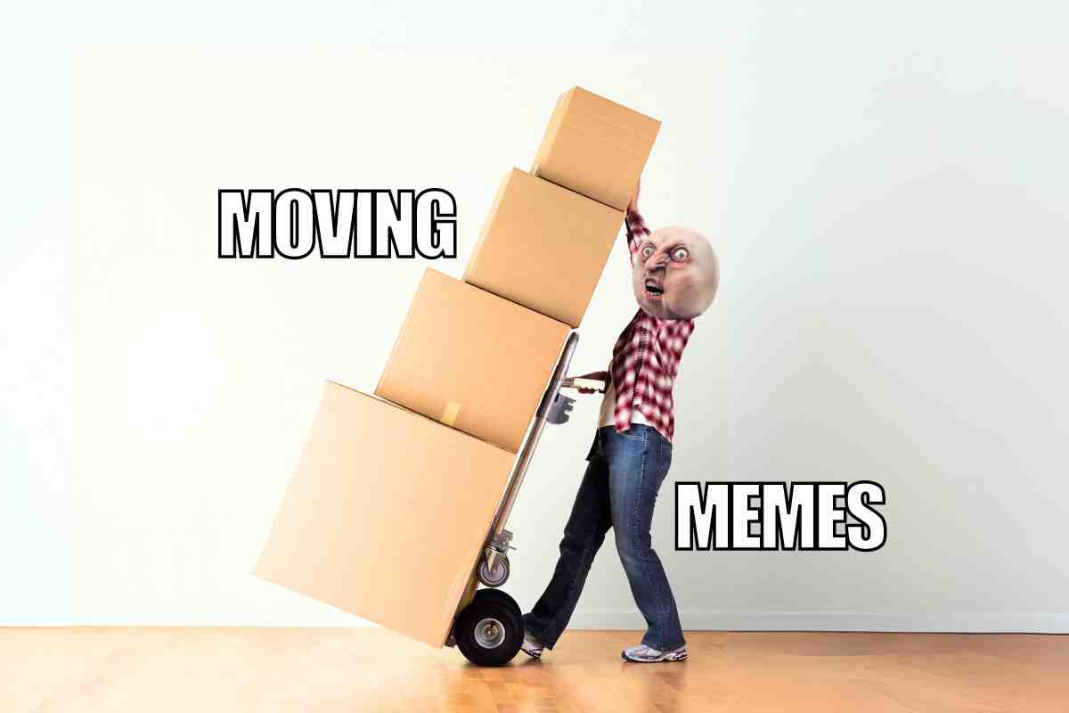 15 Hilarious Moving Memes That Capture The Chaos Of Relocating