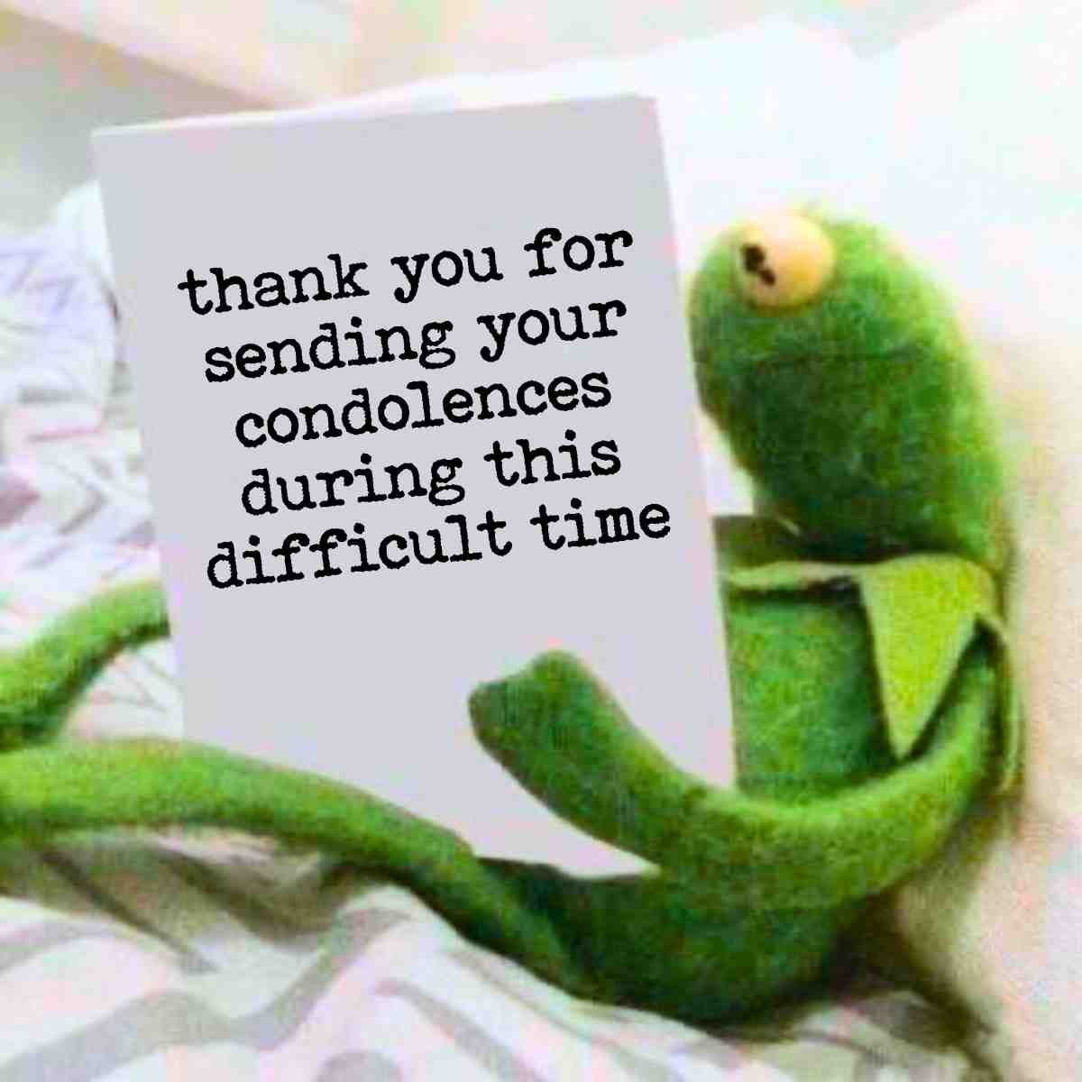 25 Thank You Memes That Speak Louder Than Sending A Card