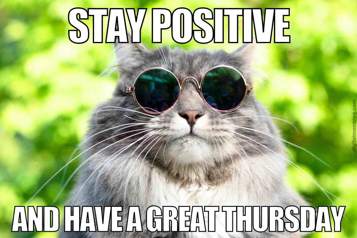 40 Funny Thursday Memes To Help You Survive The Week