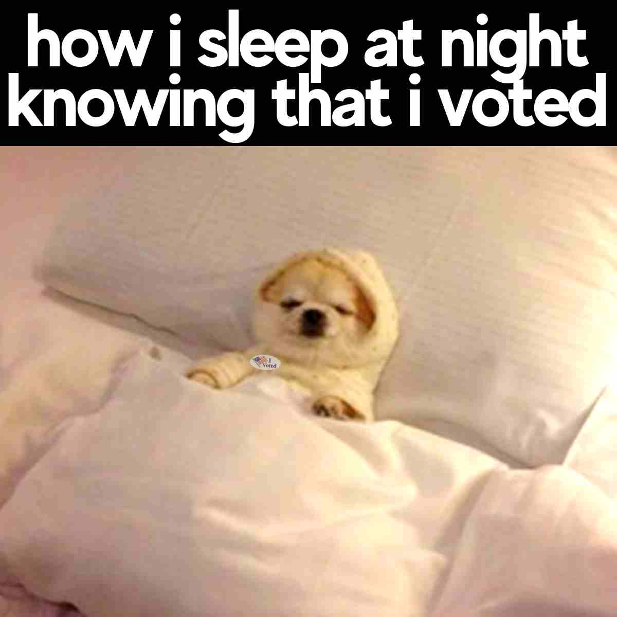 Best Vote Memes 2024: Using Humor To Encourage Voting