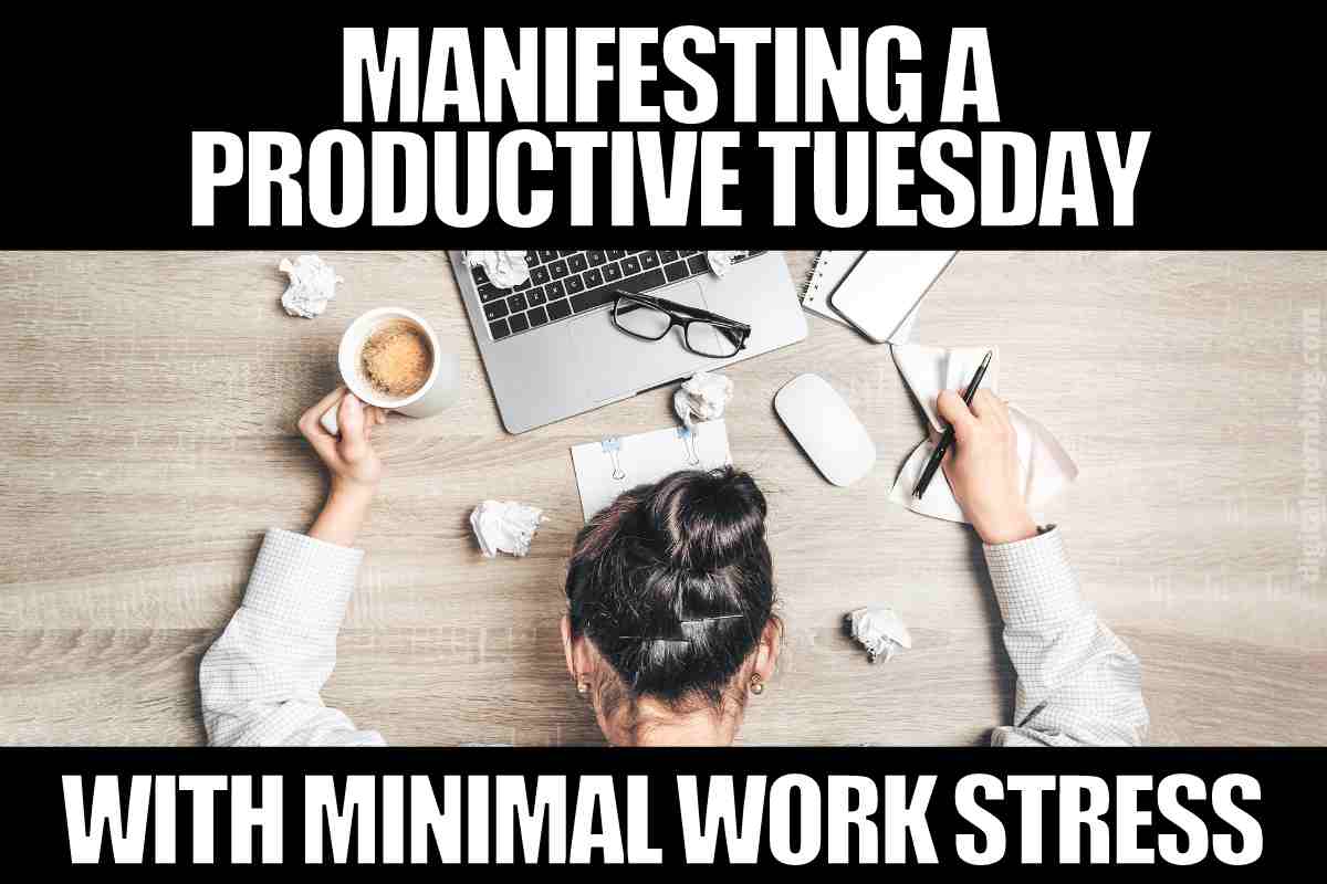 20 Hilarious Tuesday Work Memes That Hit Just Right