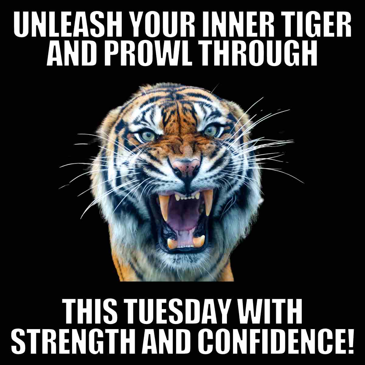 20 Hilarious Tuesday Work Memes That Hit Just Right