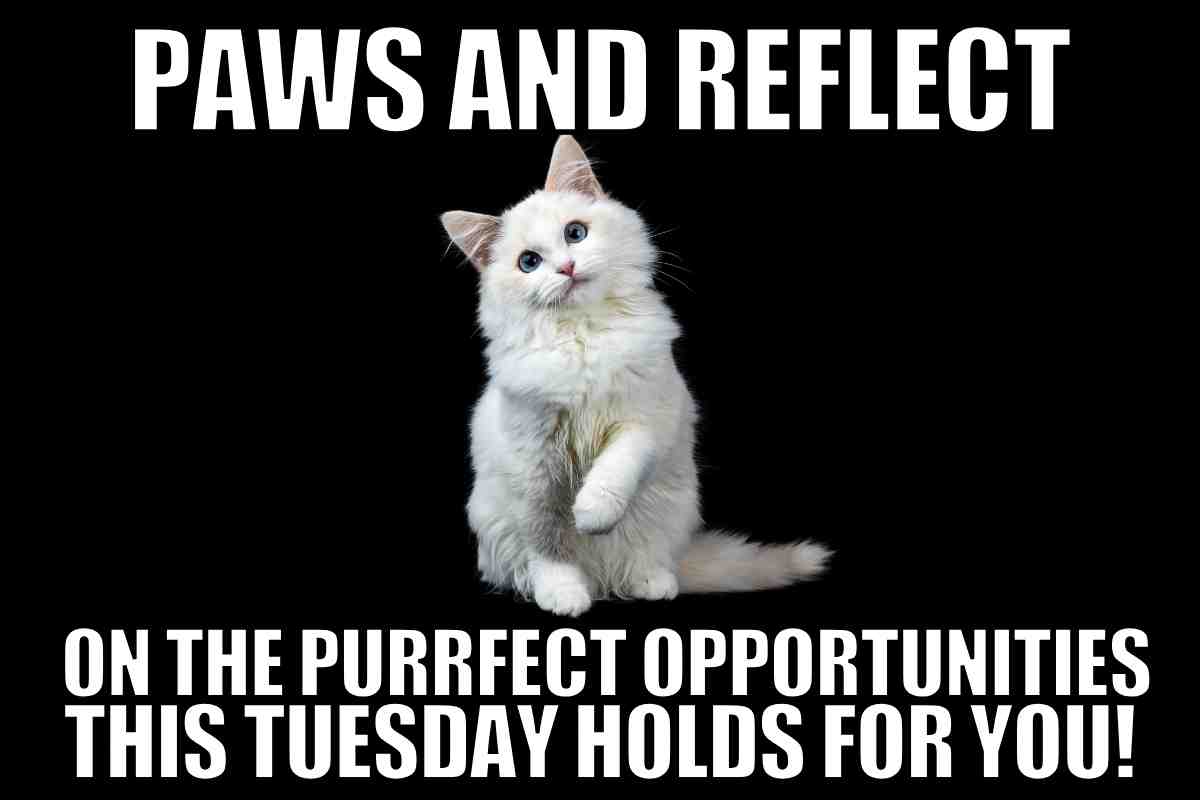 20 Hilarious Tuesday Work Memes That Hit Just Right