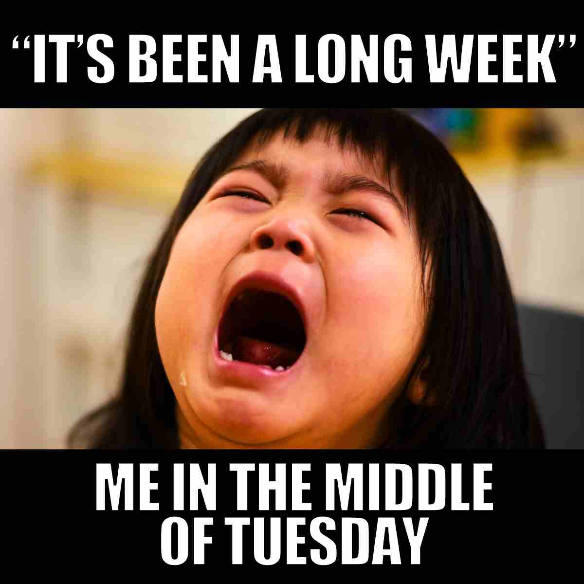20 Hilarious Tuesday Work Memes That Hit Just Right