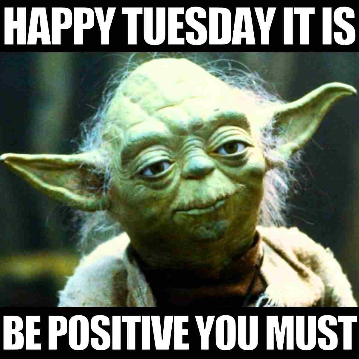 20 Hilarious Tuesday Work Memes That Hit Just Right