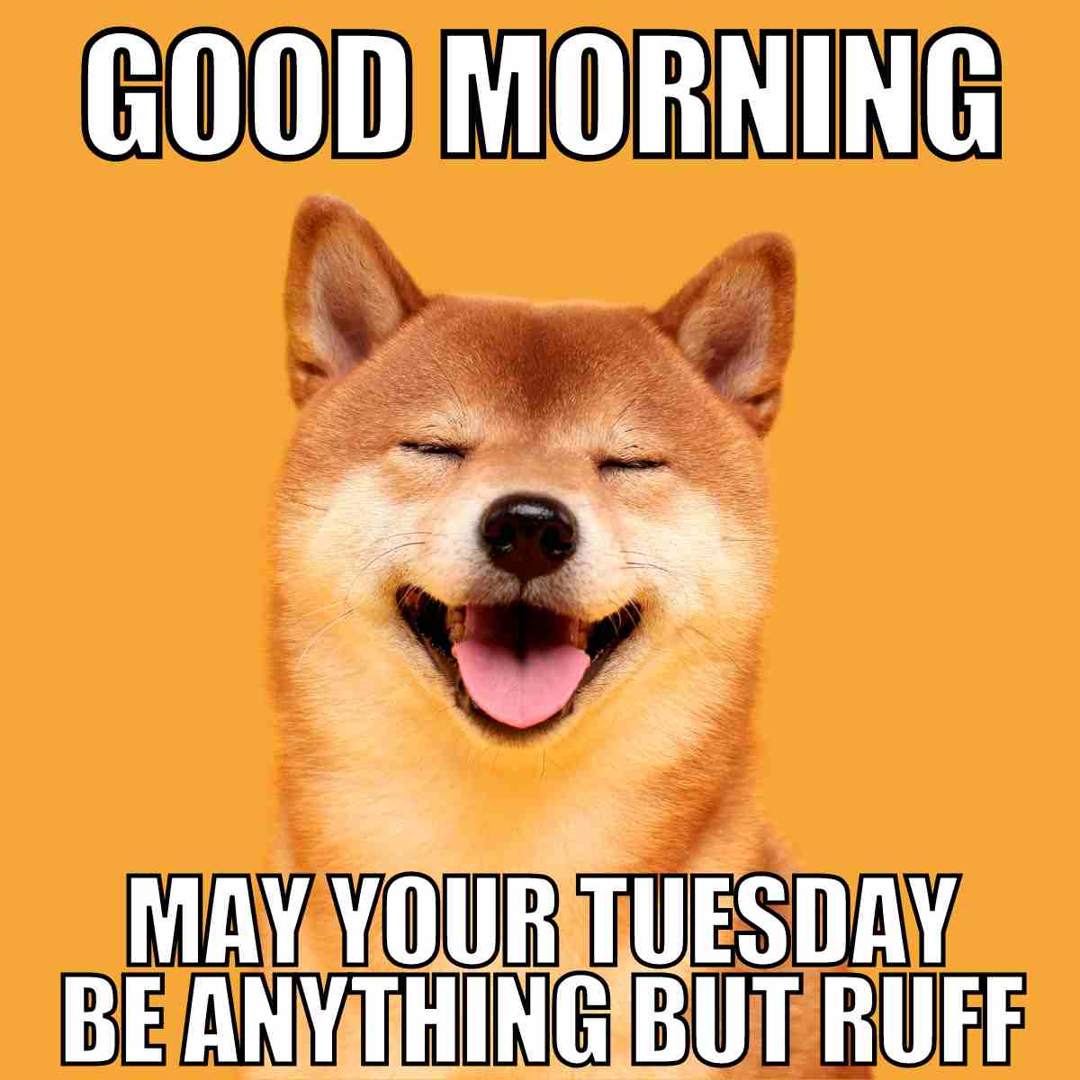 20 Hilarious Tuesday Work Memes That Hit Just Right